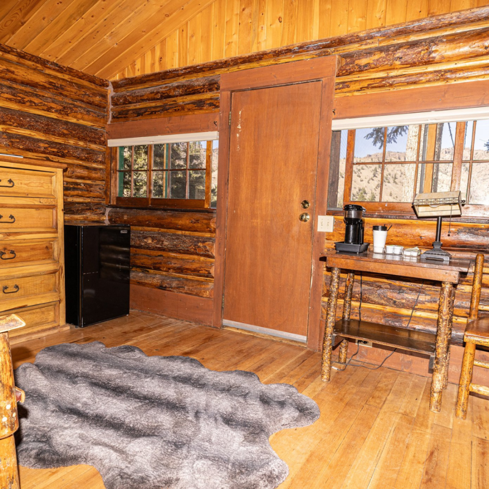 Cheyenne - UXU Ranch